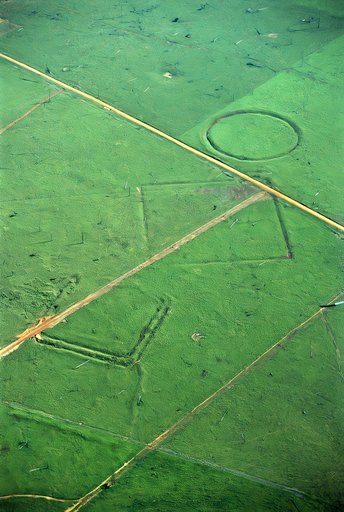 Thousands Of "Stonehenges" Have Been Found In The Amazon Rainforest