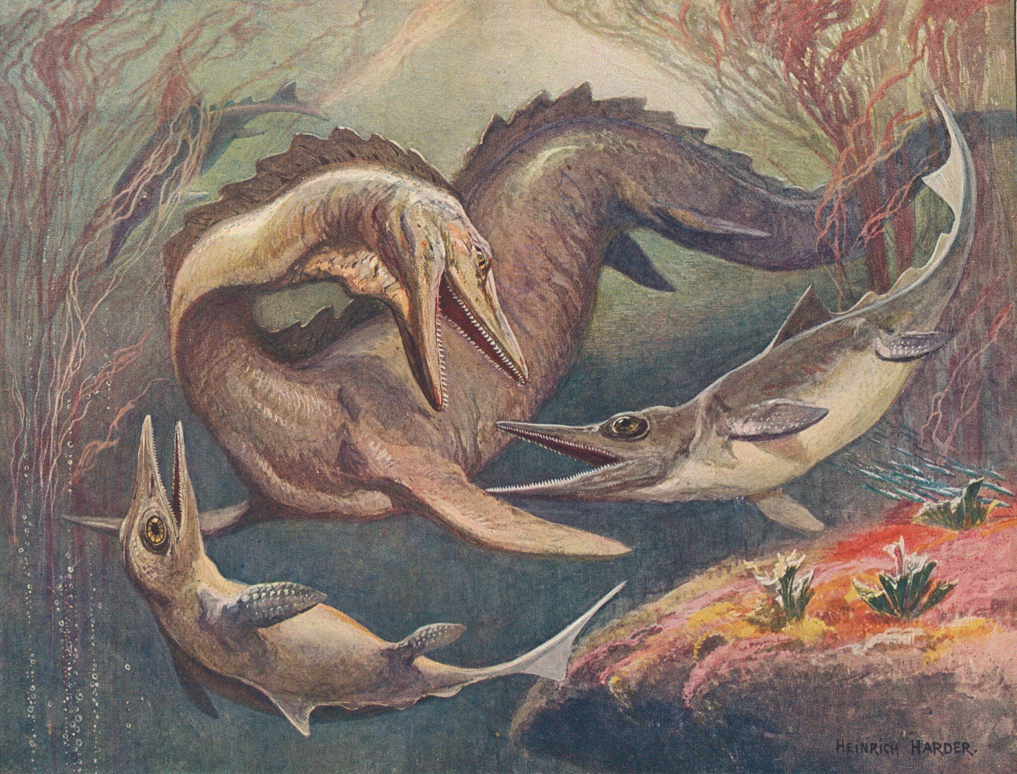 The Largest Marine Reptile In History Has Been Discovered