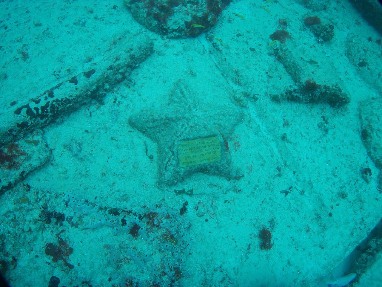 Florida Has A Real Underwater Cemetery (& You Can Visit It)