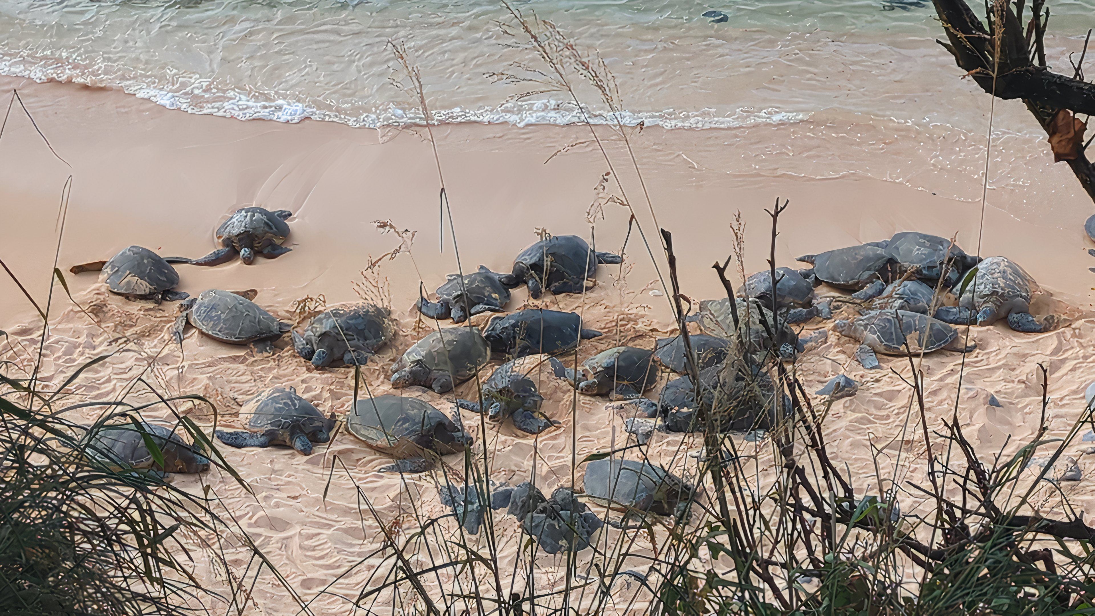 Majestic Maui: My Day-Trip To Īao Valley And Haleakalā National Park