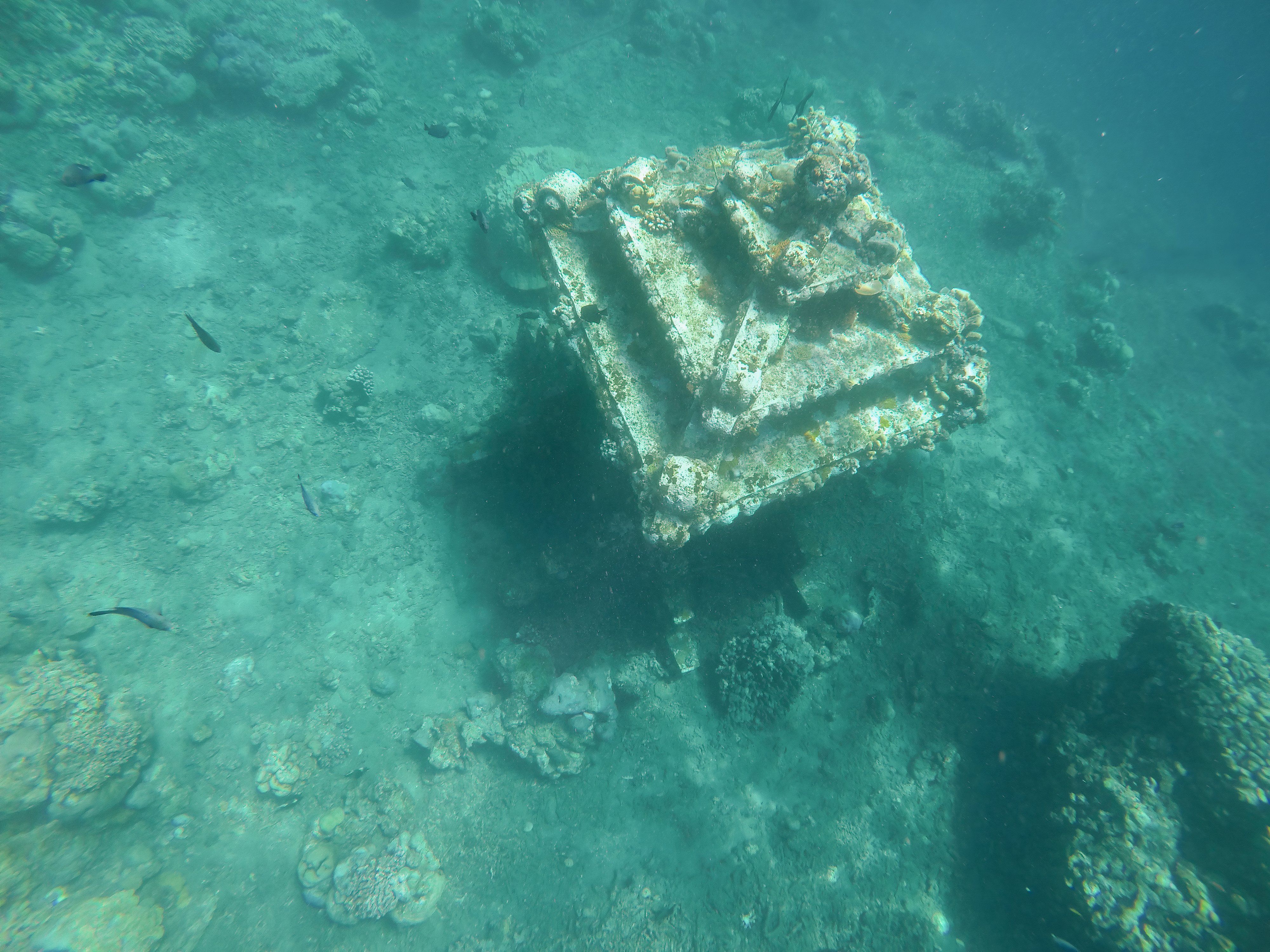 Real-Life Atlantis: Newly Found Lost Underwater City Could Rewrite The ...