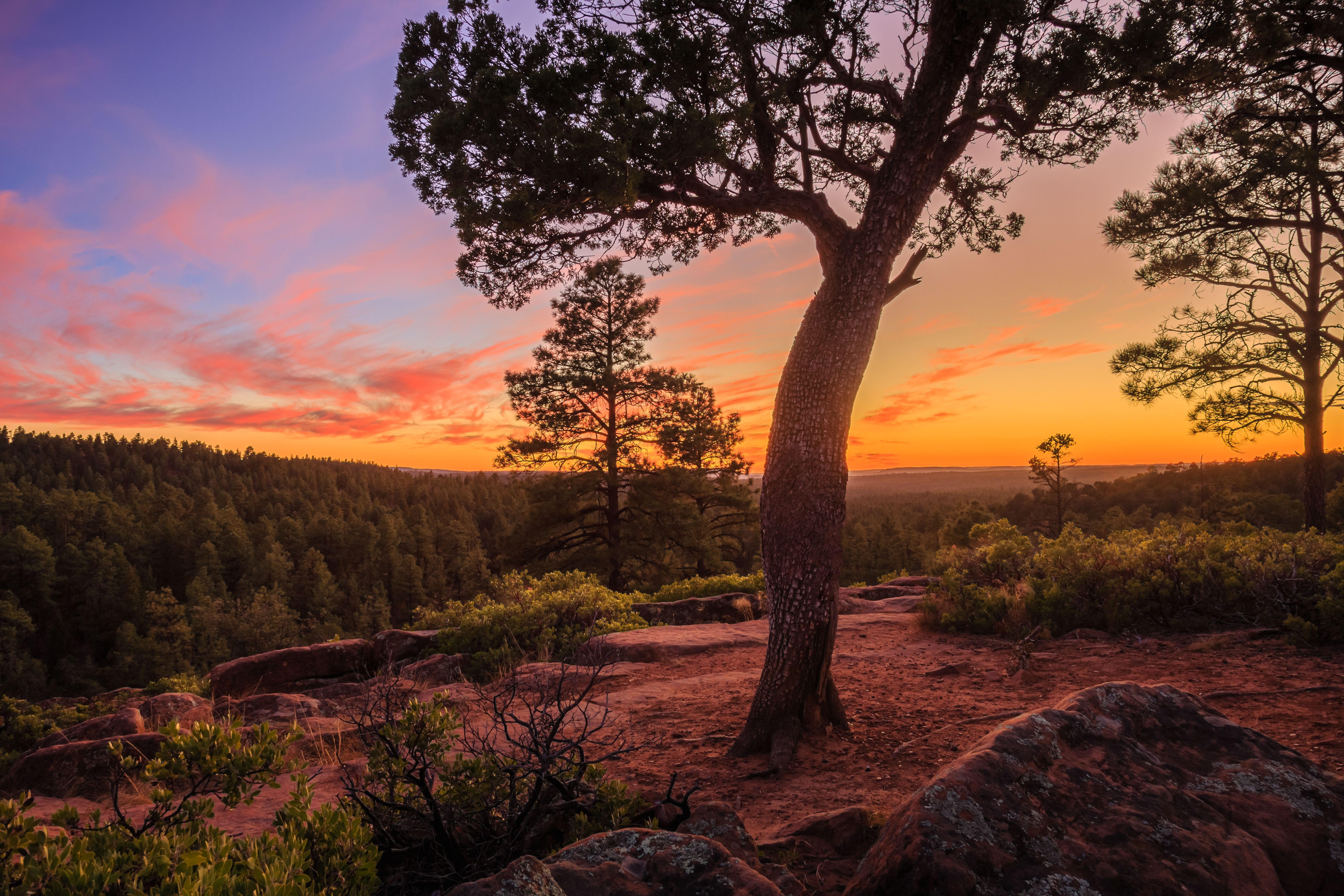 7 Best Hikes In Arizona's Underrated White Mountains 7 Best Hikes In Arizona's Underrated White Mountains