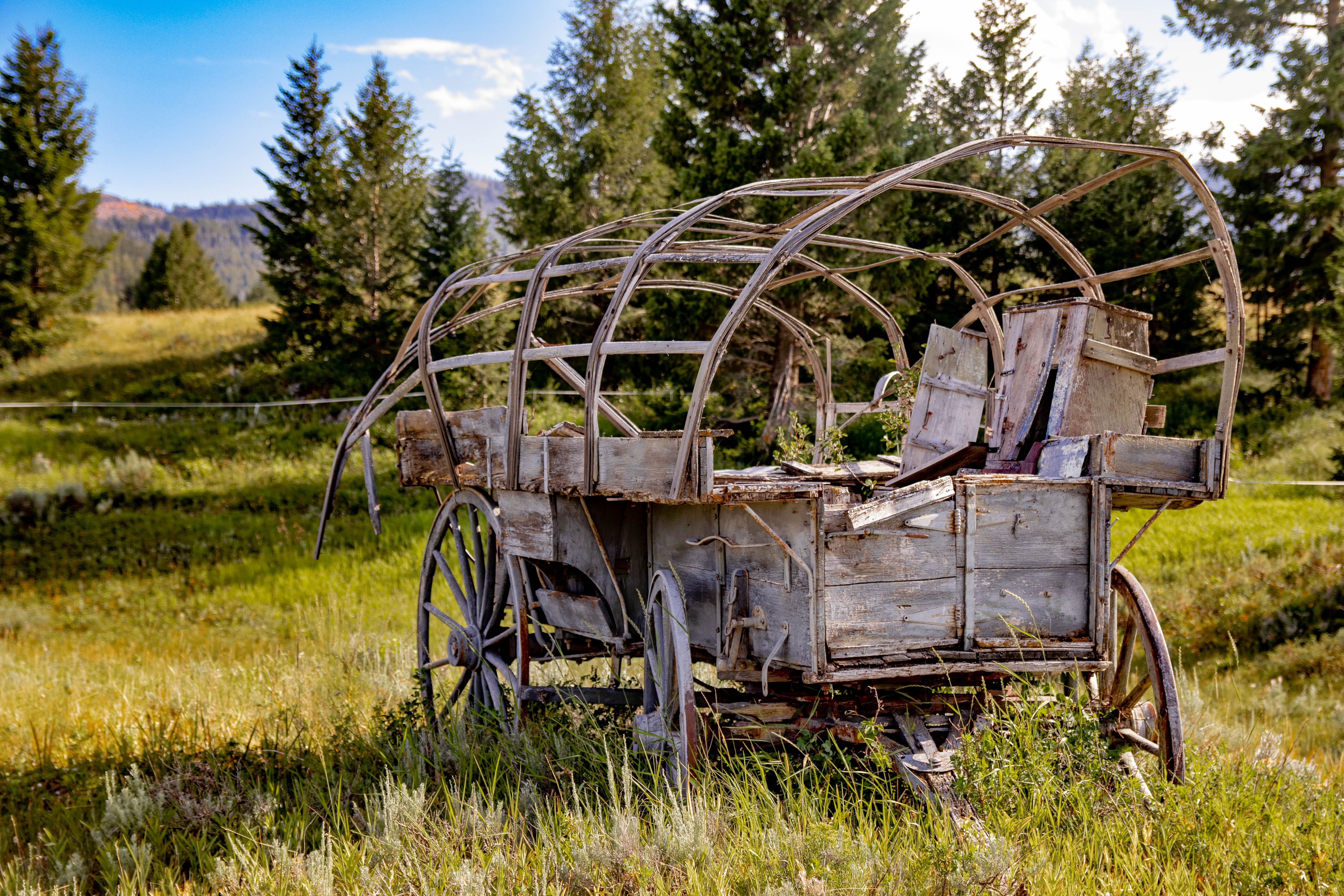 Here's What You Never Knew About The Donner Party