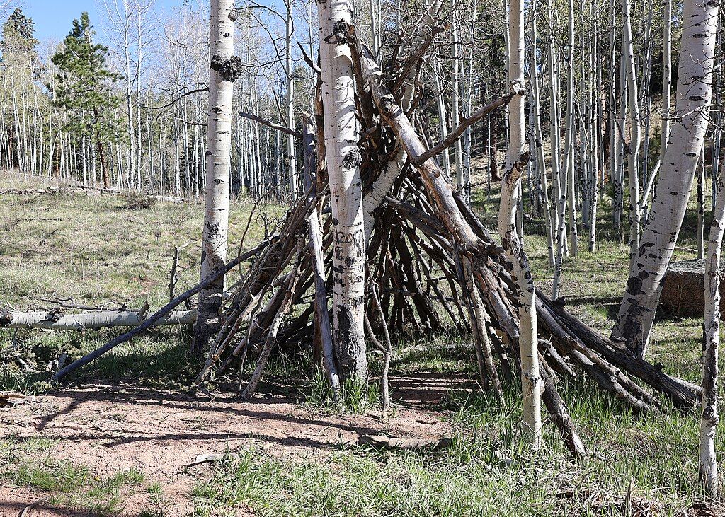 8 Most Incredible Discoveries In Rocky Mountain National Park