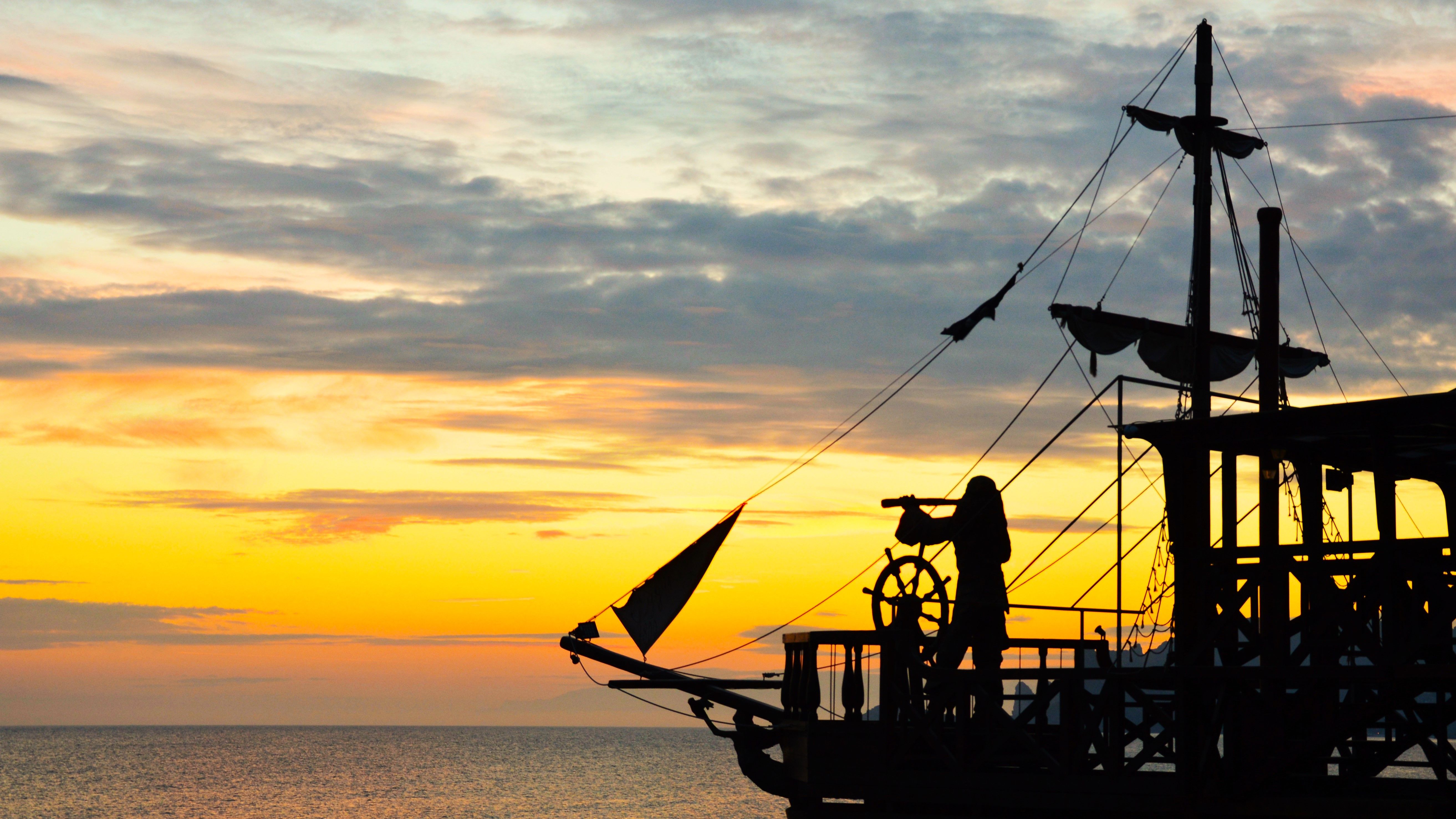 Discoveries Off Cape Cod Finally Shed Light On The Most Secretive ...