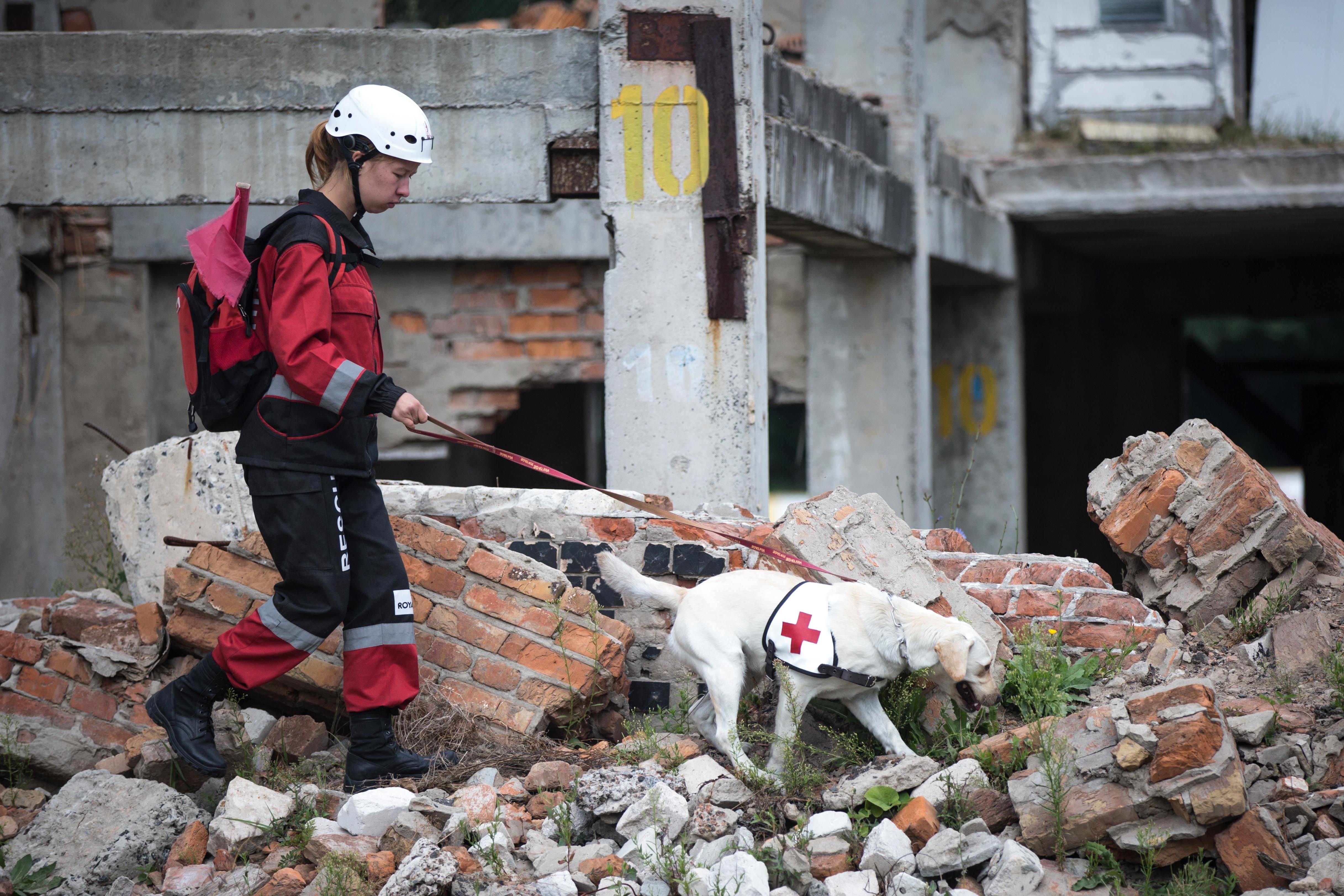 The Unsung Heroes of North Carolina's Aftermath: K9 Search and Recovery ...