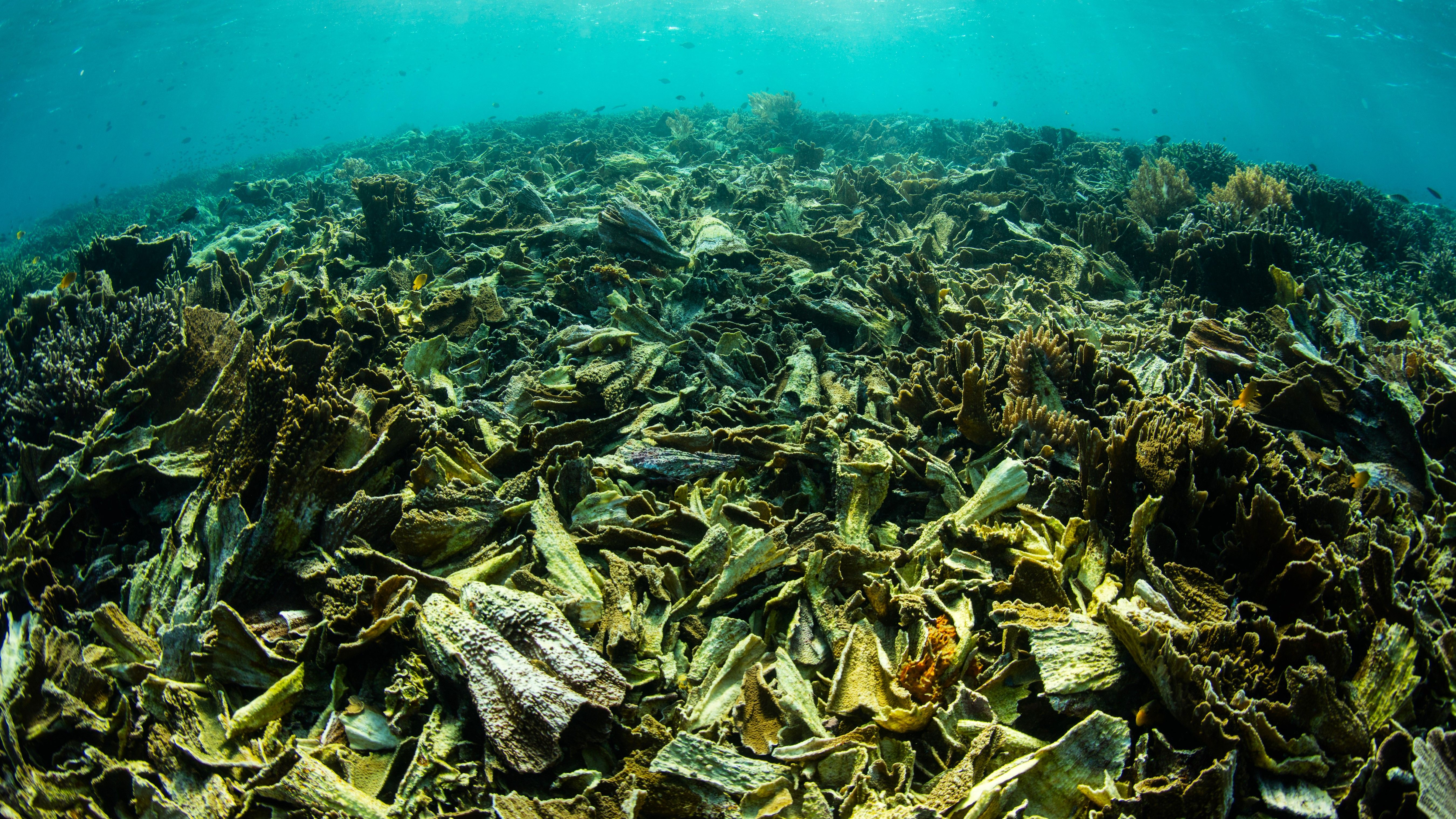 10 Ways That You Can Travel Around The U.S. For Free