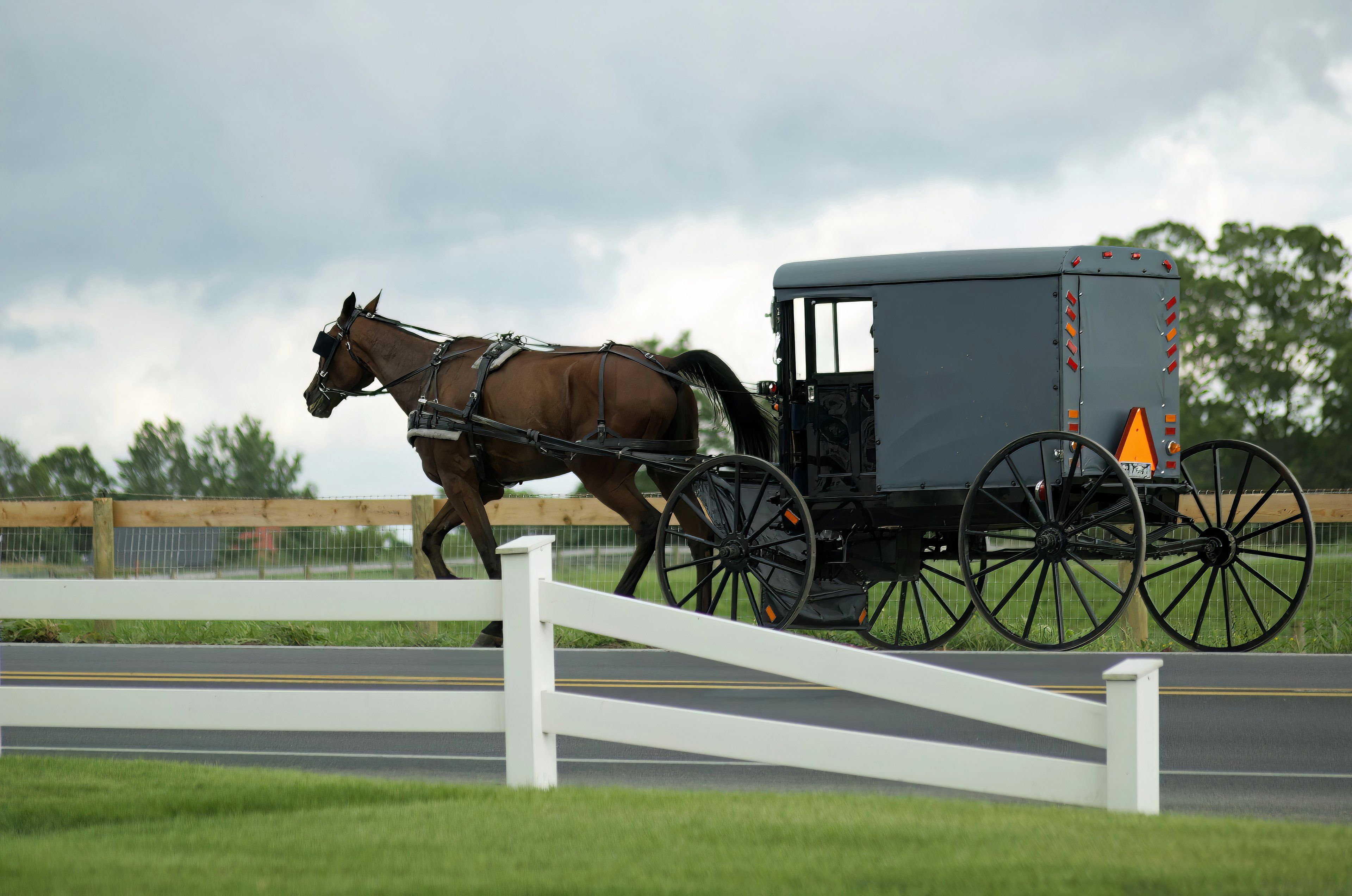 Lancaster Country Is the Heartland Of The Amish, And These Tours Offer ...