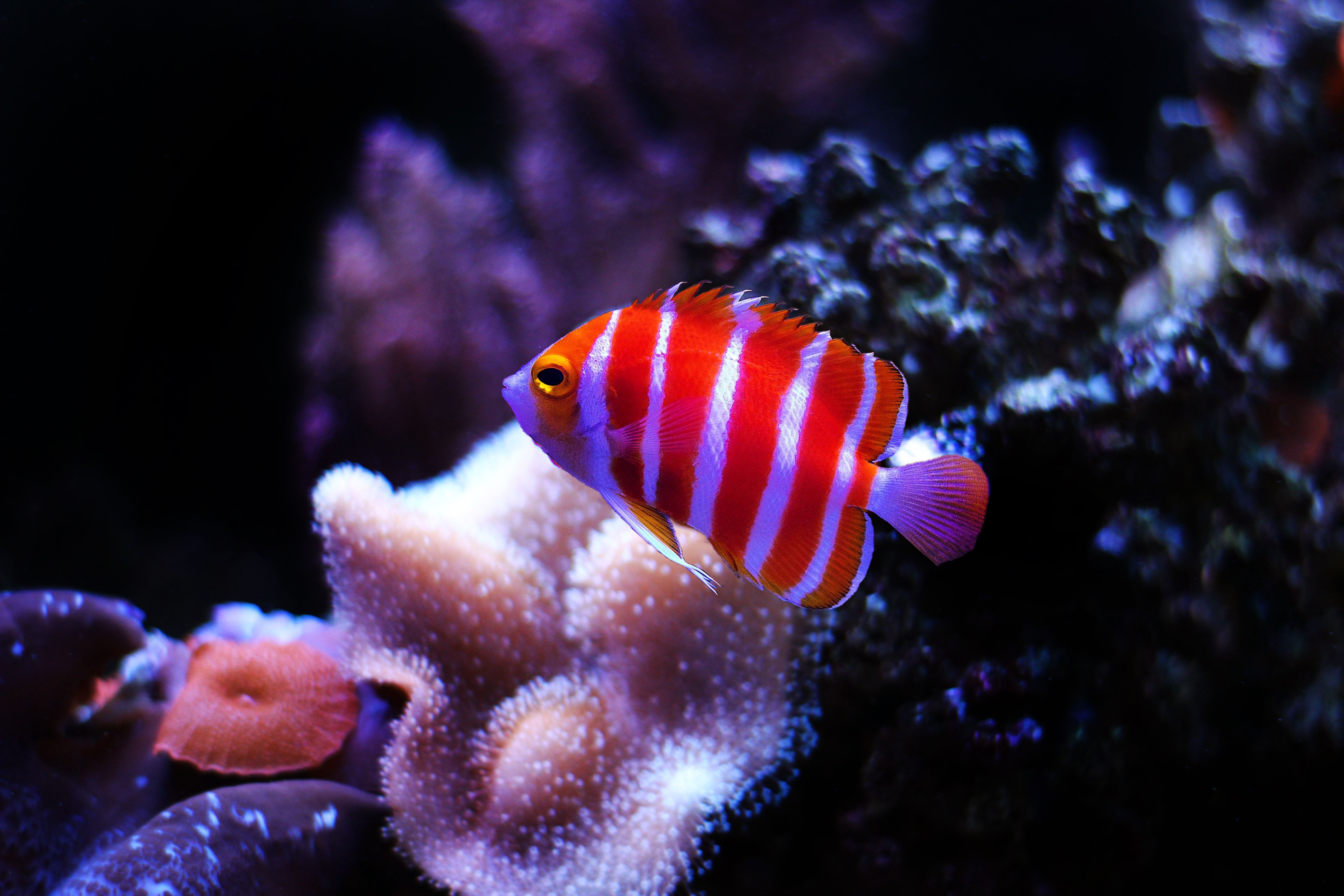 Top 10 Ocean Mysteries That Still Baffle Experts