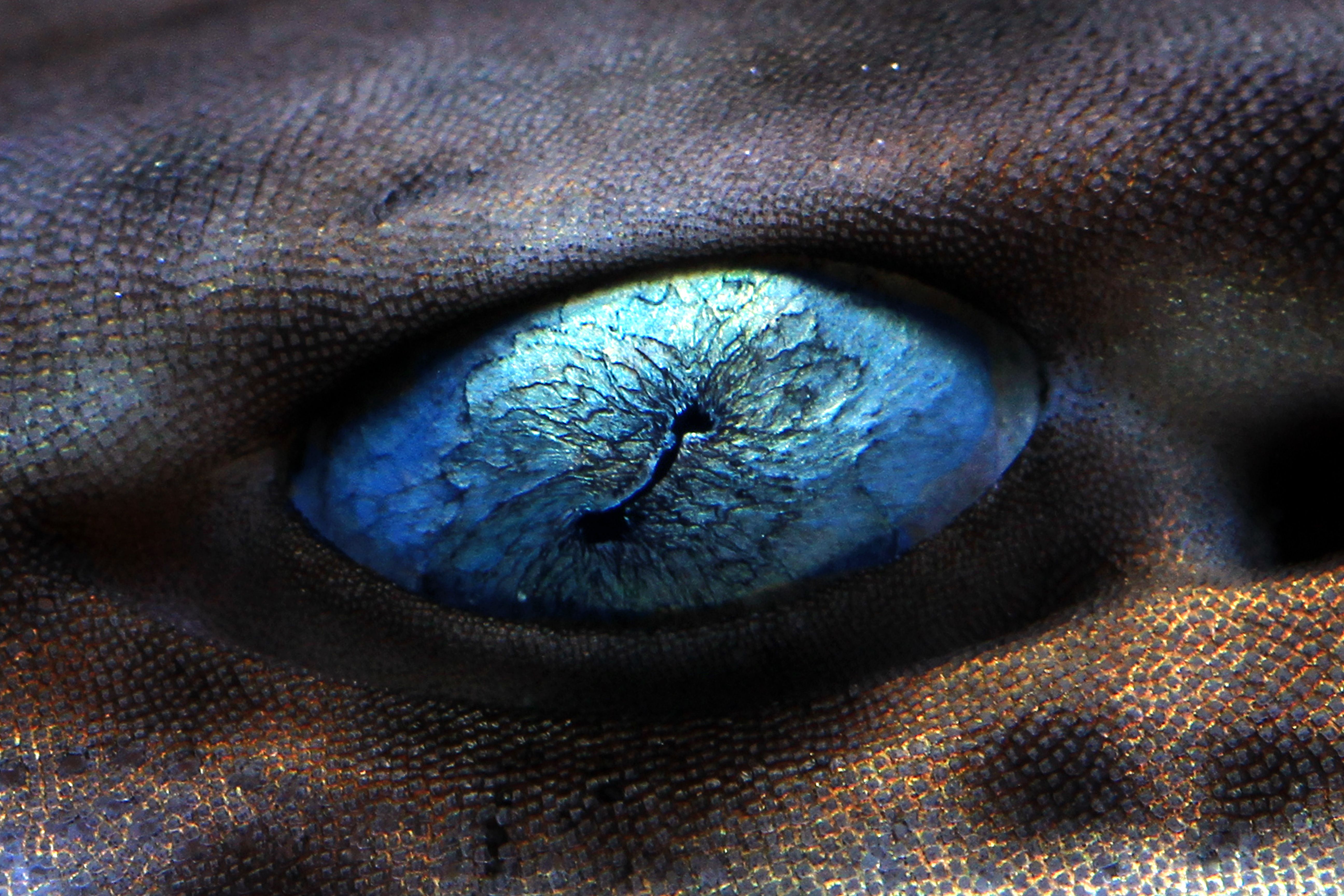 This Apex Predator Still Alive Today Is 50 Million Years Older Than Trees