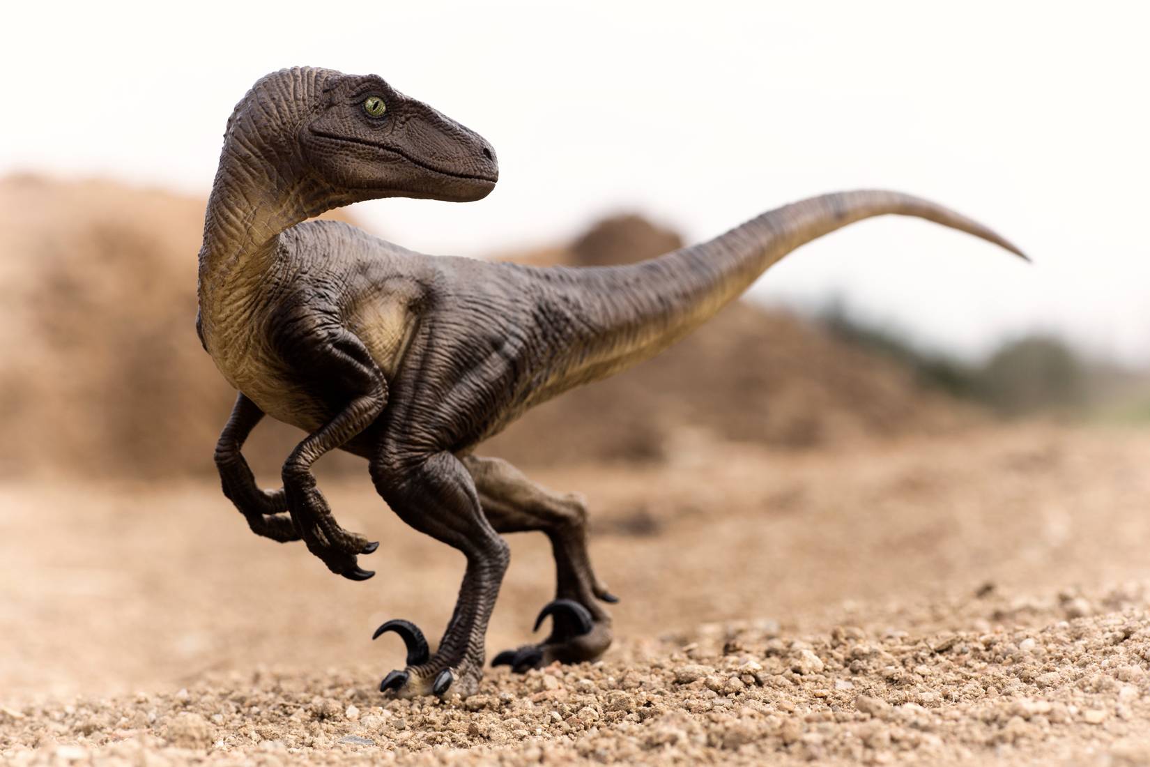 10 Myths About Dinosaurs You Need To Stop Believing
