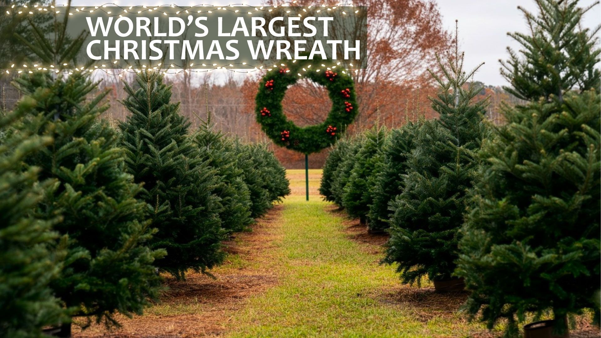 Maryland Is Home To The Guinness Book Of Records' Largest Christmas Wreath