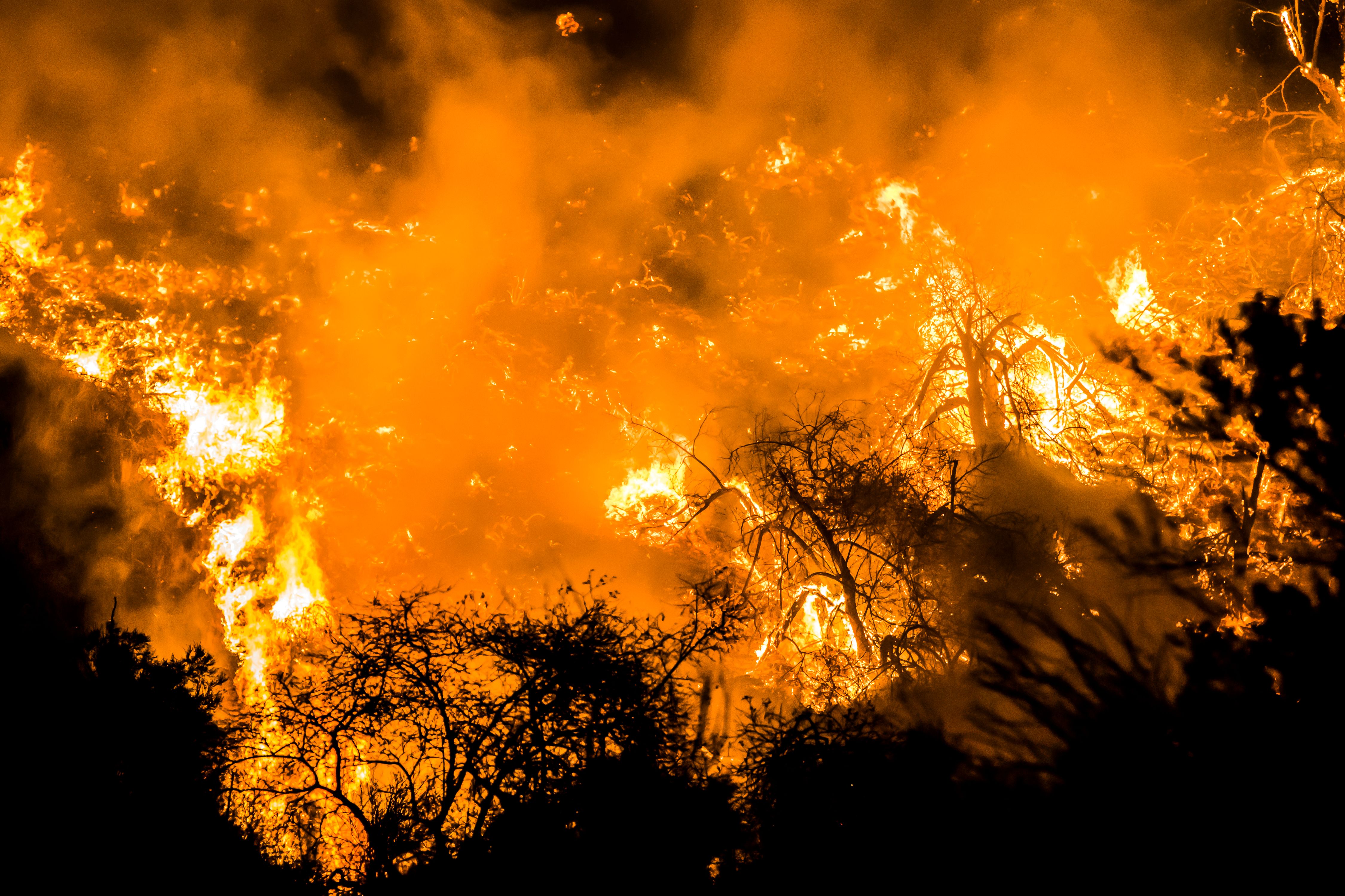 Los Angeles Wildfires | TheTravel