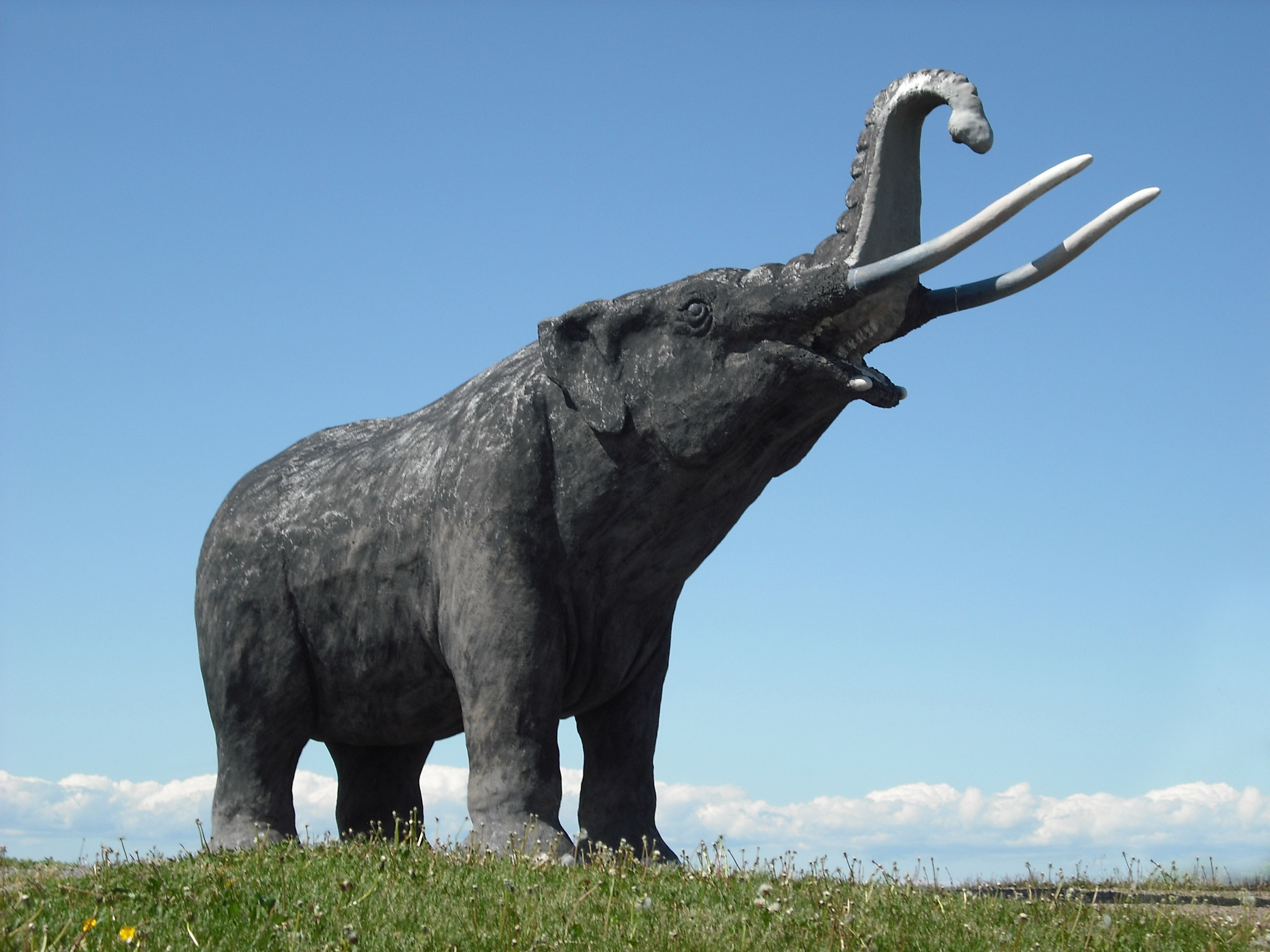 New Details Revealed About 13,600-Year-Old Mastodon Found In Iowa