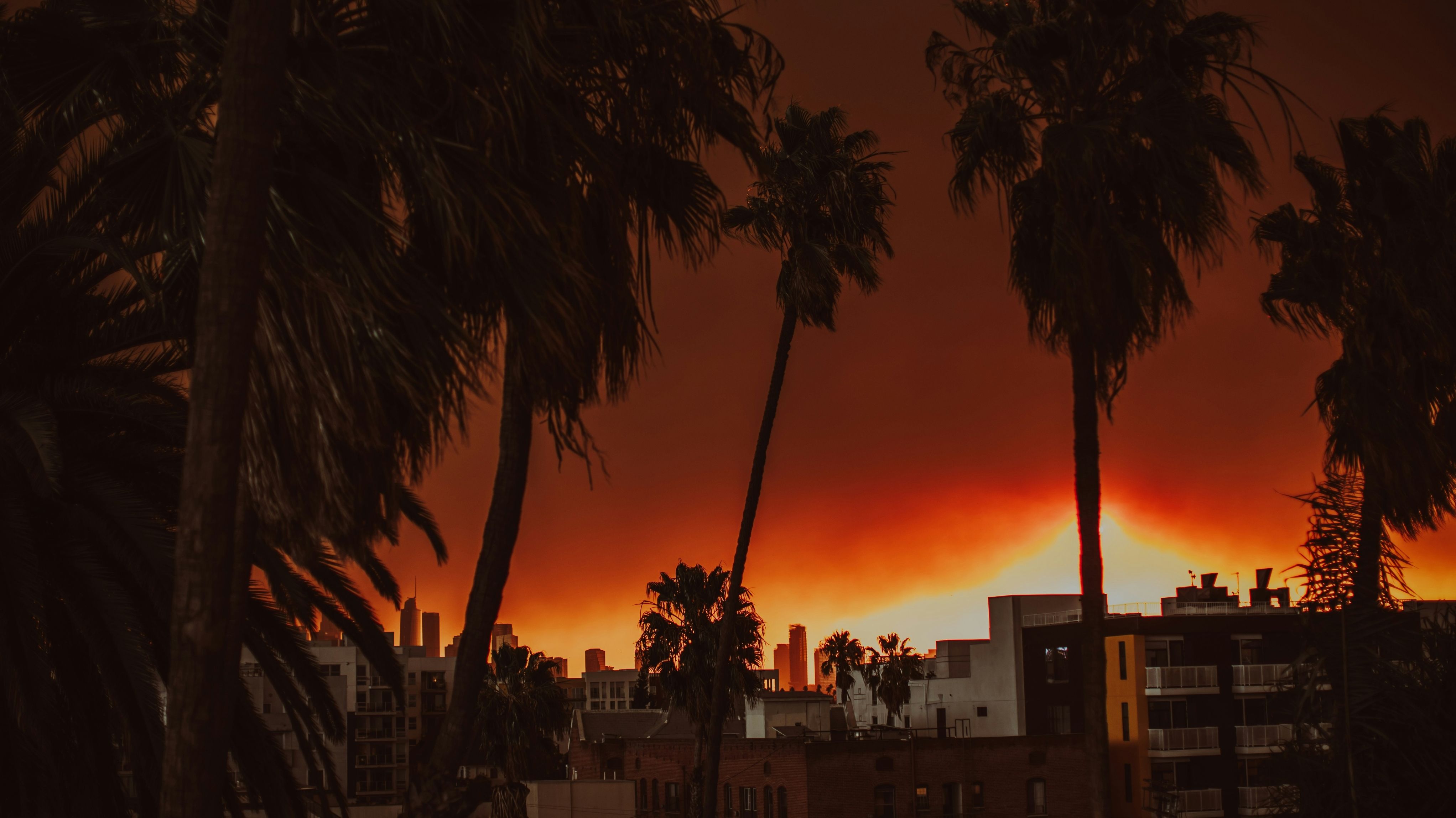 Hundreds Flee As New Quick-Spreading Los Angeles Fireplace Explodes To ...