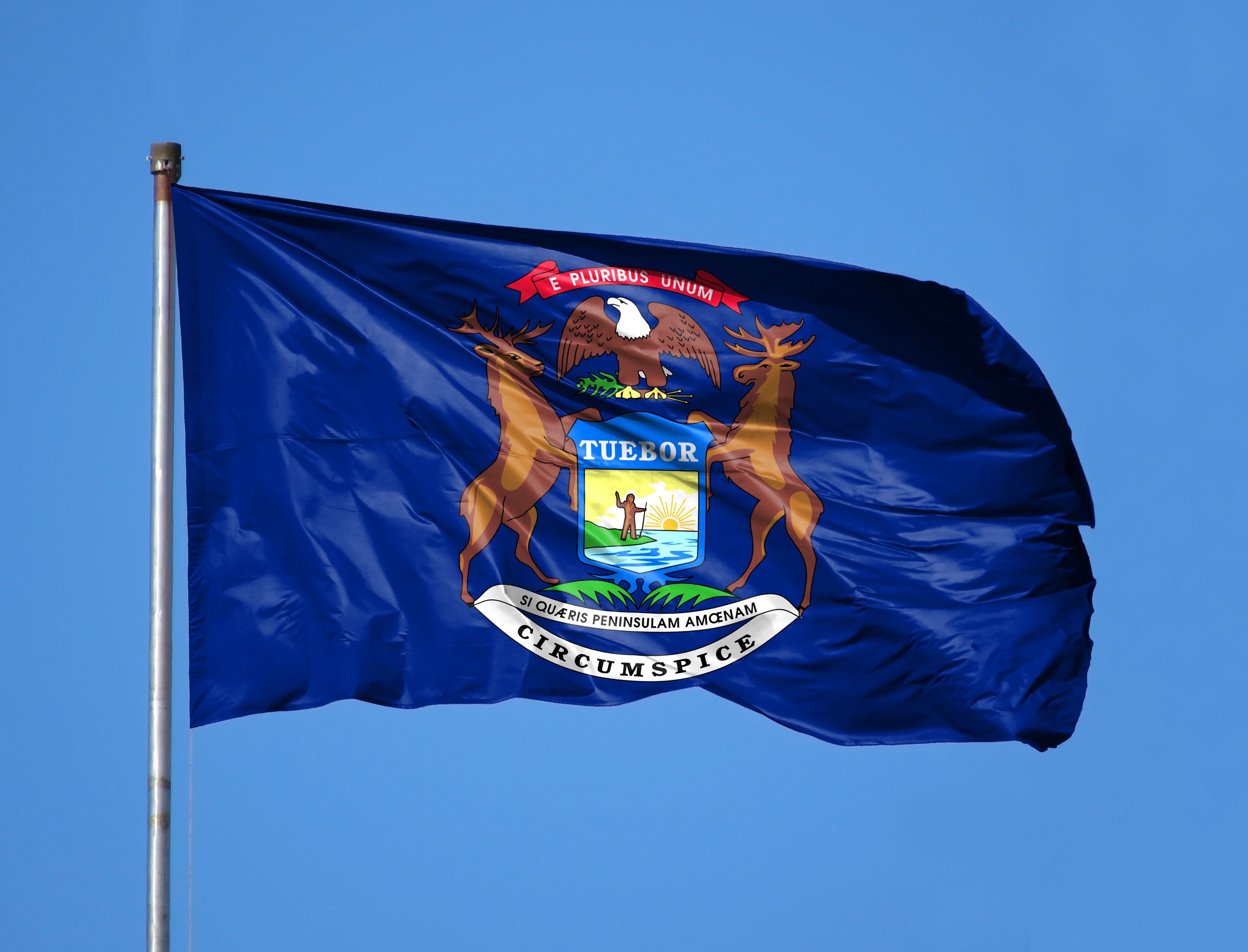 Michigan - Flags & Symbols | TheTravel
