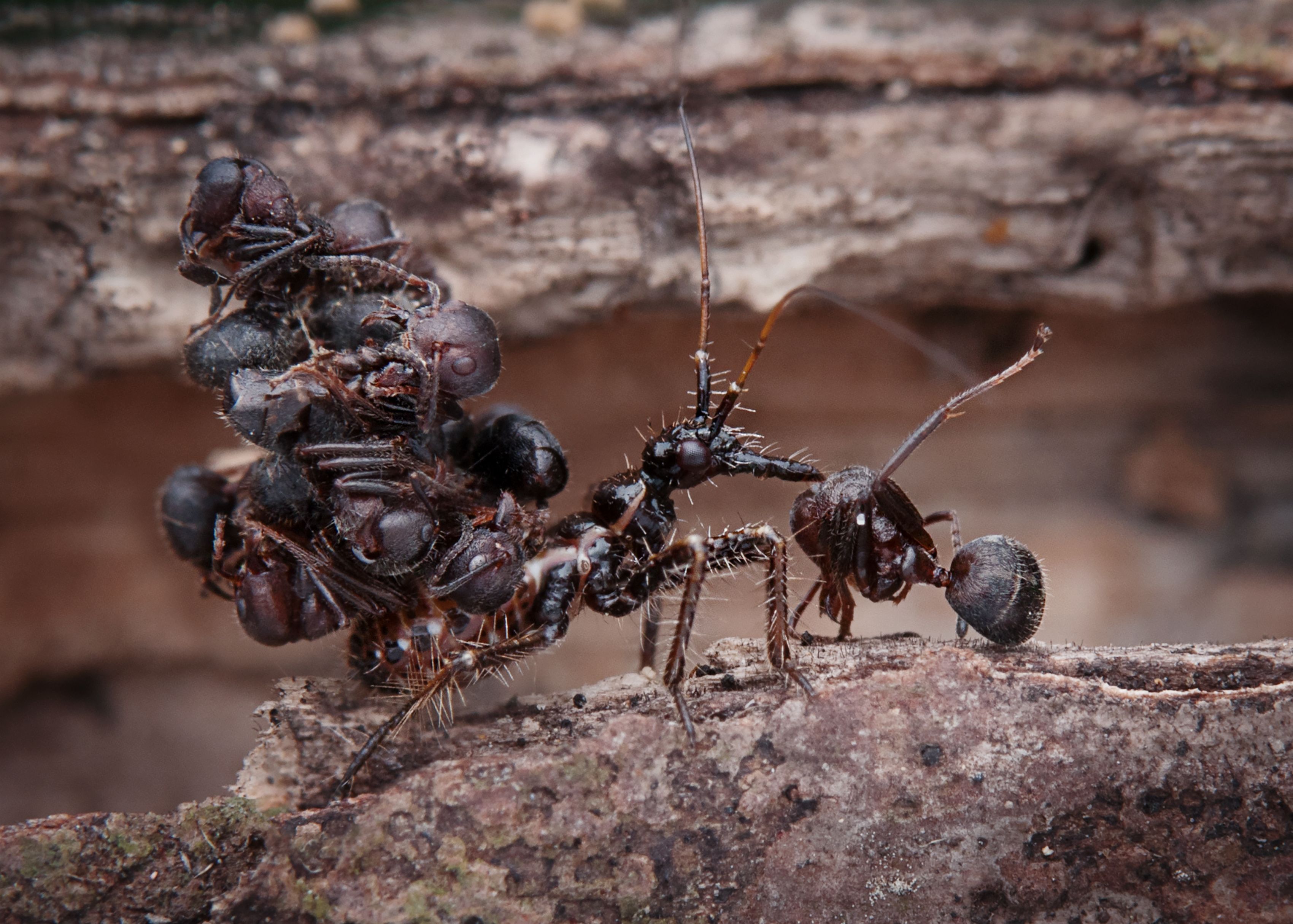 10 Beautiful Snow-Covered U.S. Mountain Towns Worth Braving The Cold For