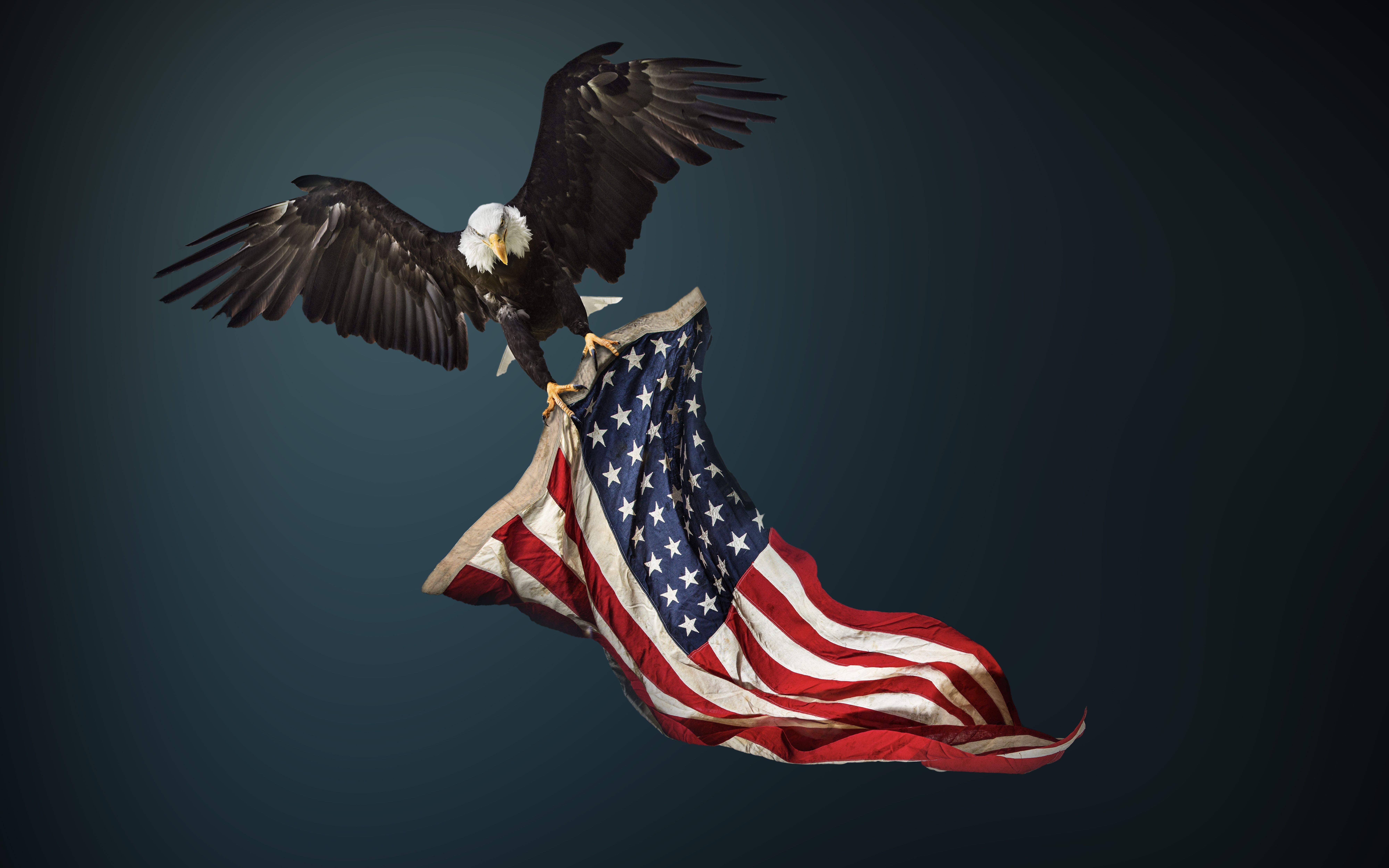 Eagle Enthusiasts Rejoice As Jackie And Shadow Welcome Third Eaglet To Big Bear Nest