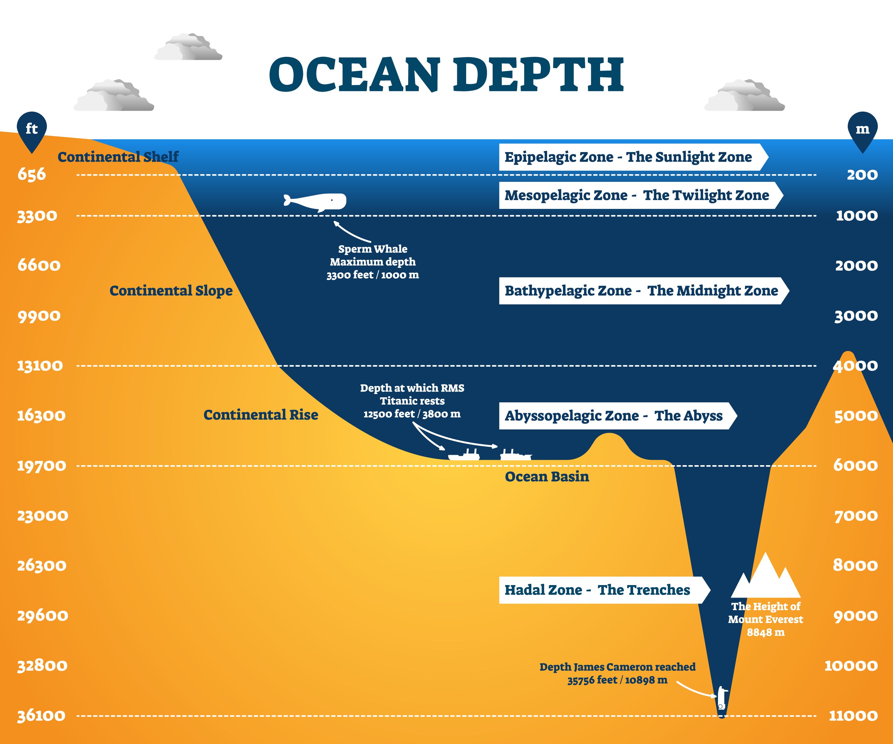Experts Discovered A New "Ghostly" Sea Creature Hunting At 26,000 Feet Deep
