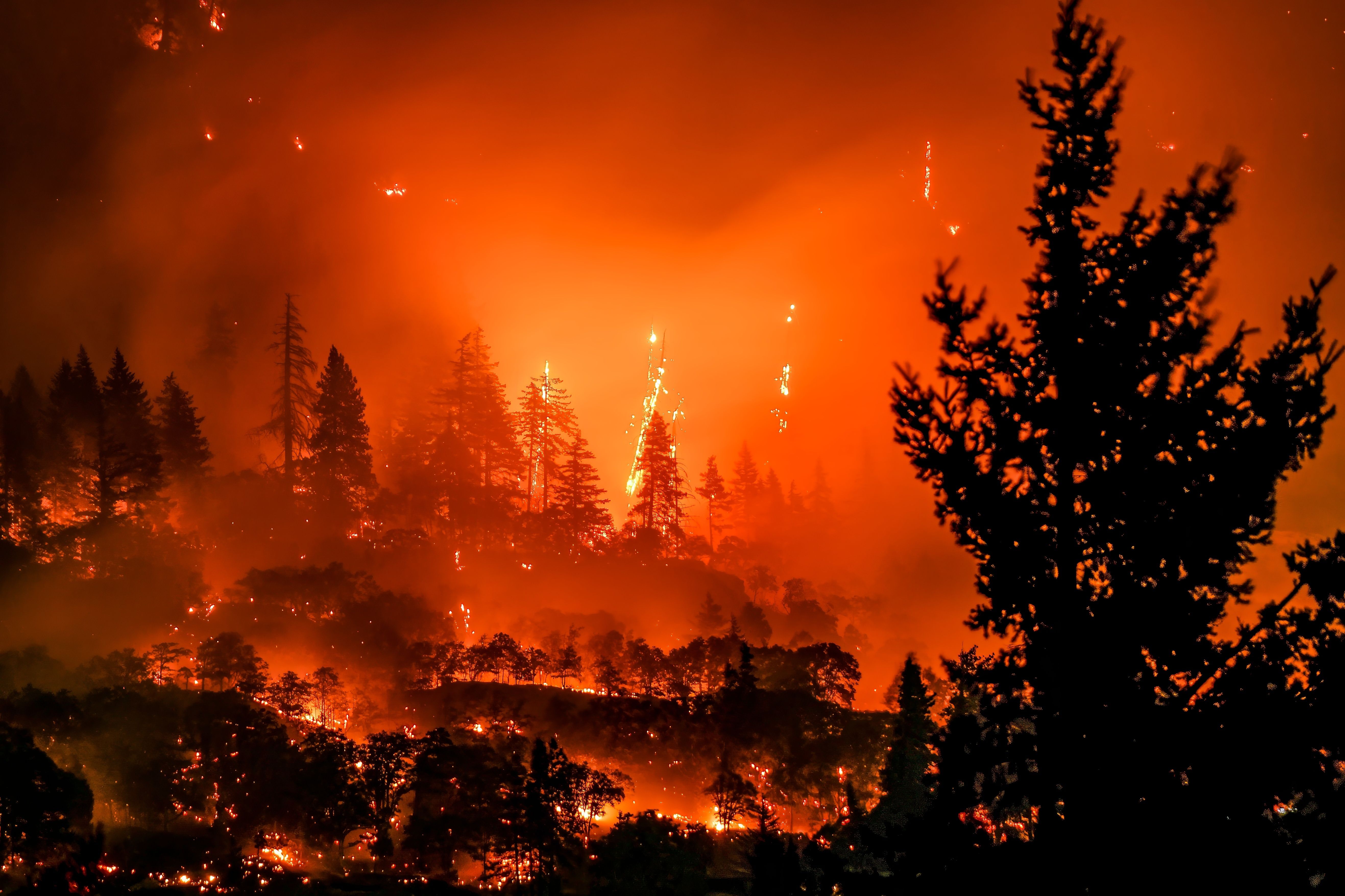 Fast Moving Wildfire Burns 1000 Acres In Inyo County California Prompting Mandatory 