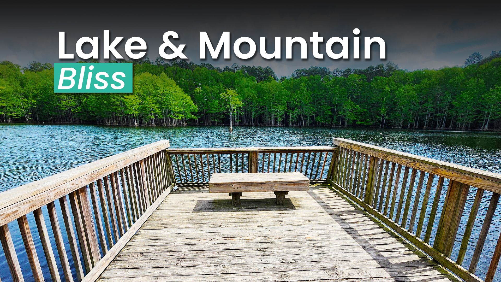 One Of North Carolina's Most Beautiful Towns Has A Scenic Lake In A Smoky Mountains Rainforest