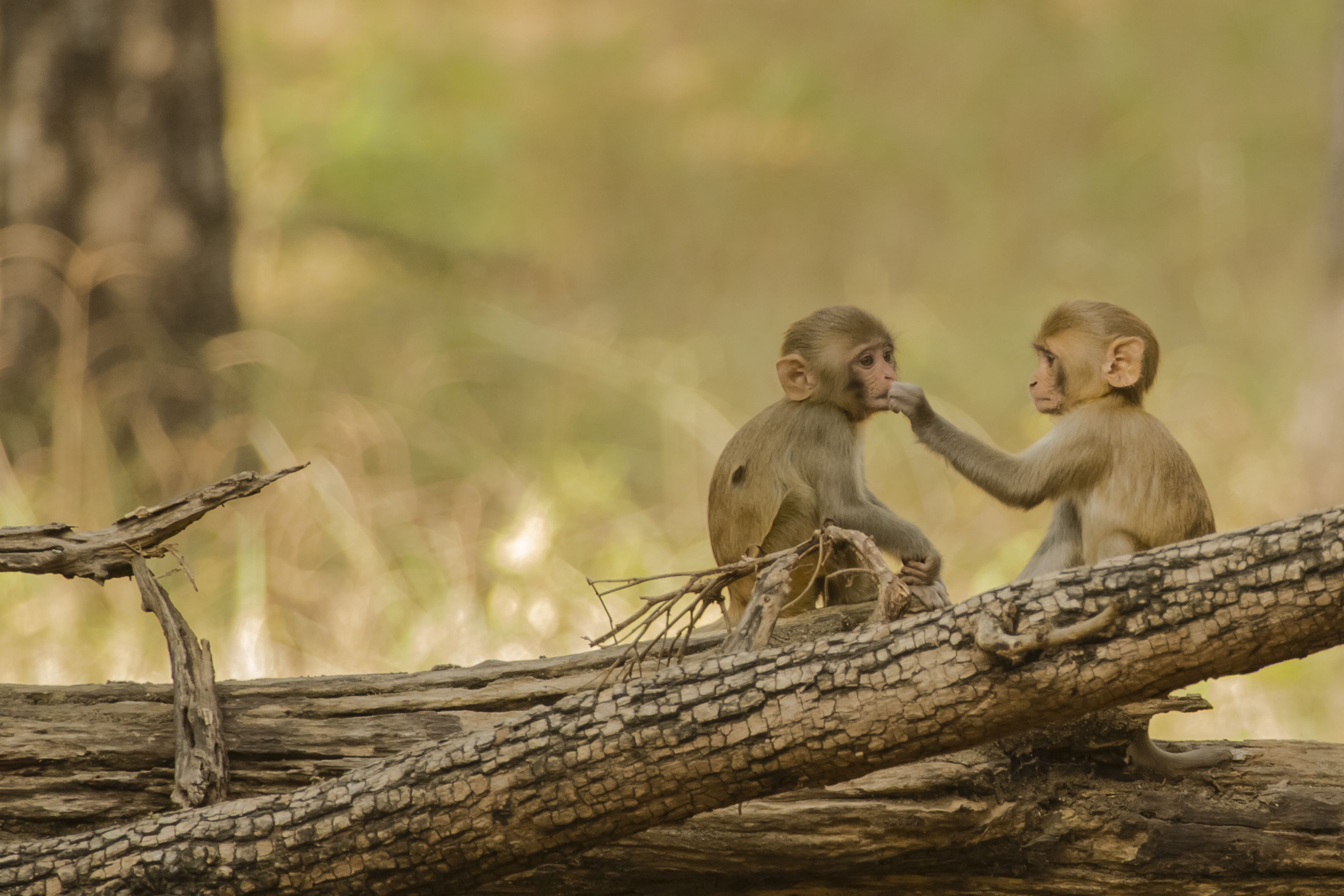 10 Most Beautiful Snow-Covered Towns To Visit In Canada This Winter