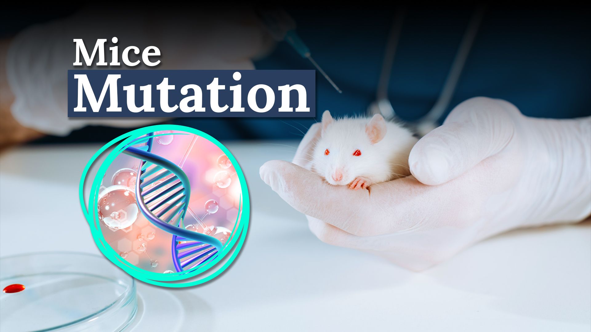 Human "Language Gene" Put In Mice Is Revealing Very Bizarre Things Indeed