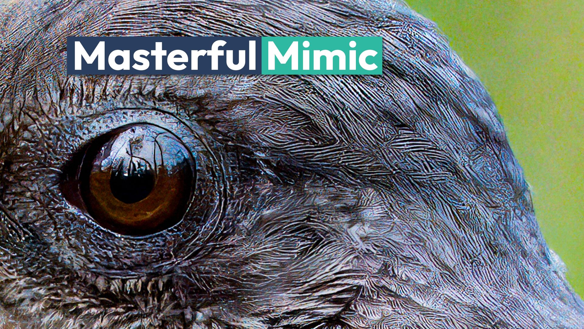 UFO Houses: What Makes Wanli UFO Village So Unique (& It Has Nothing To Do With Extraterrestrials)