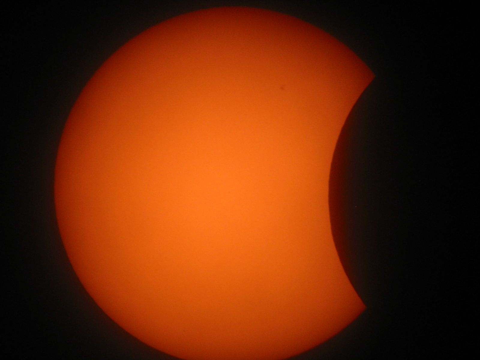 Secret Vatican Book Predicting Judgment Day Shows Eerie Link To Pope's ...