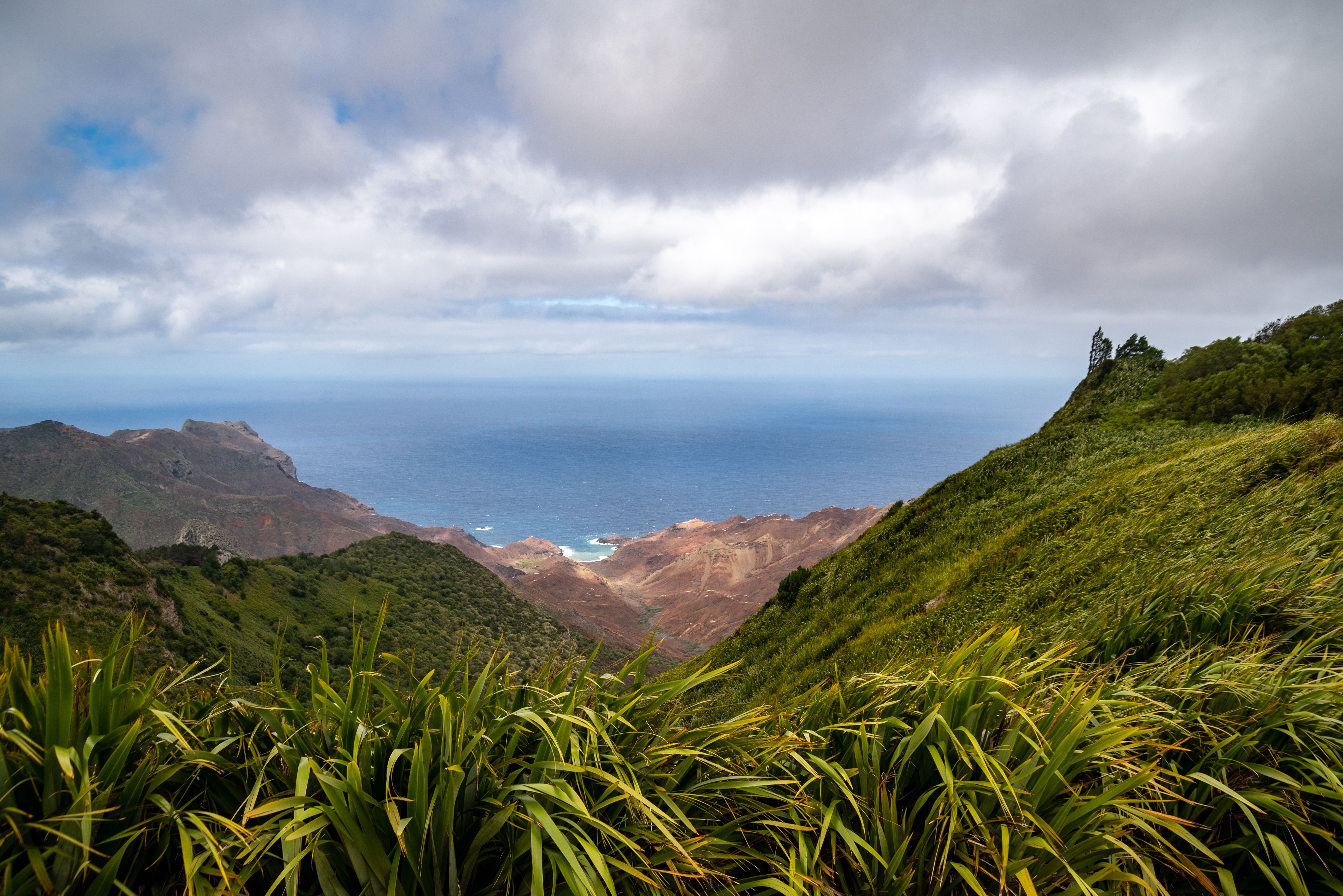 20 Most Unusual Chocolate-Covered Foods From Around The World