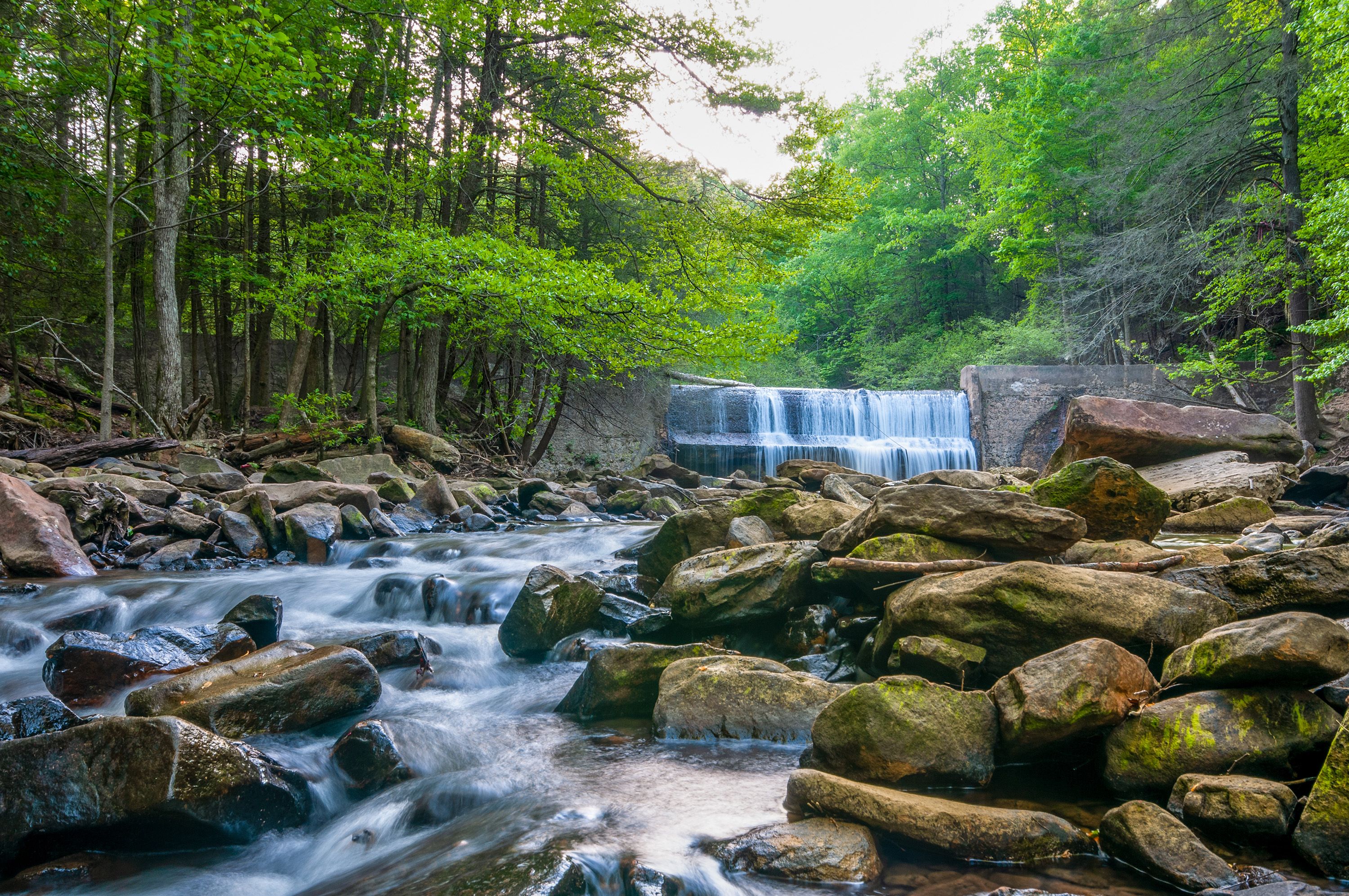 Skip The Great Smokies: Tennessee's Most Scenic Mountain Destination Is ...