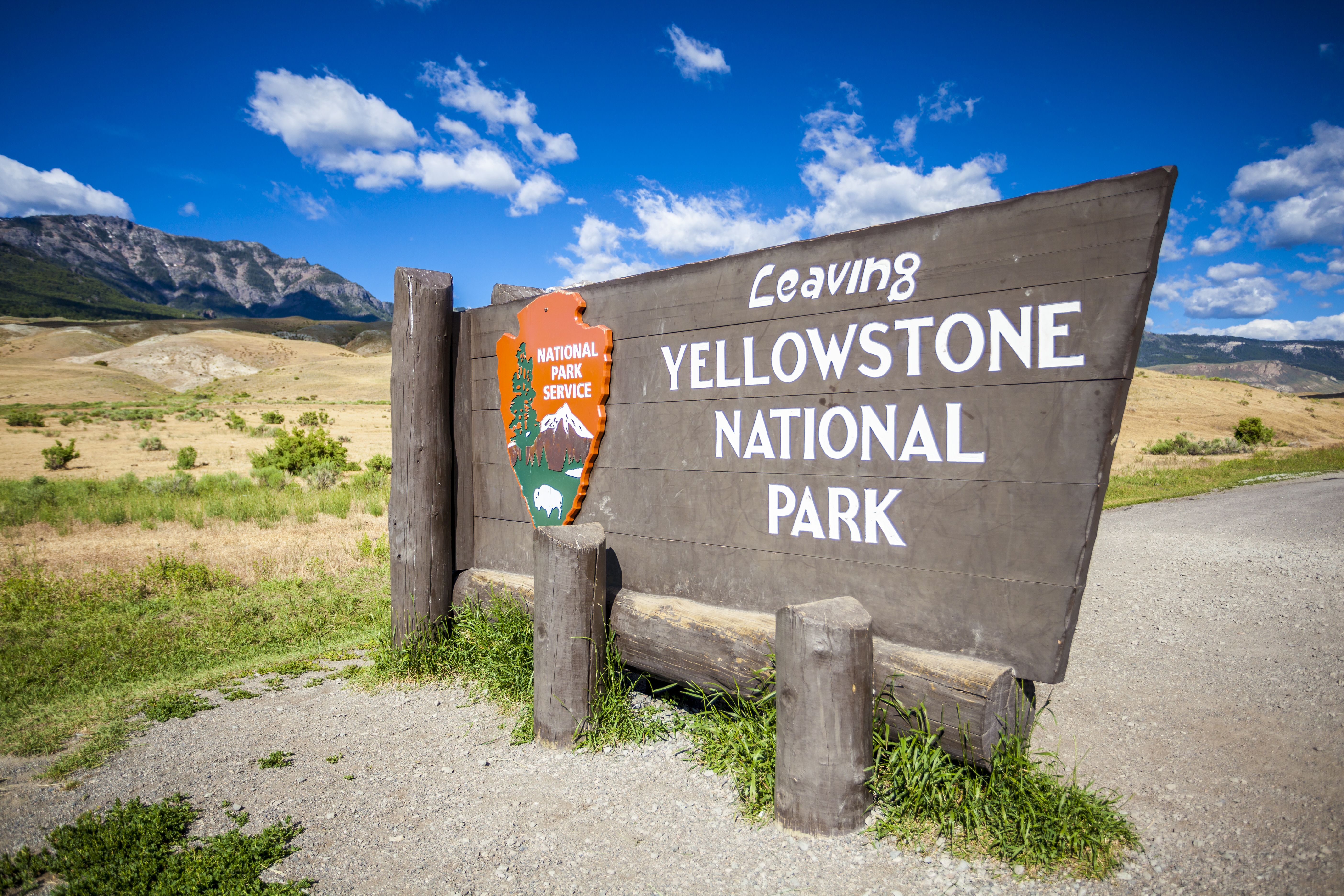 Yellowstone National Park Visitor Tries To Create His Own Route And Now ...
