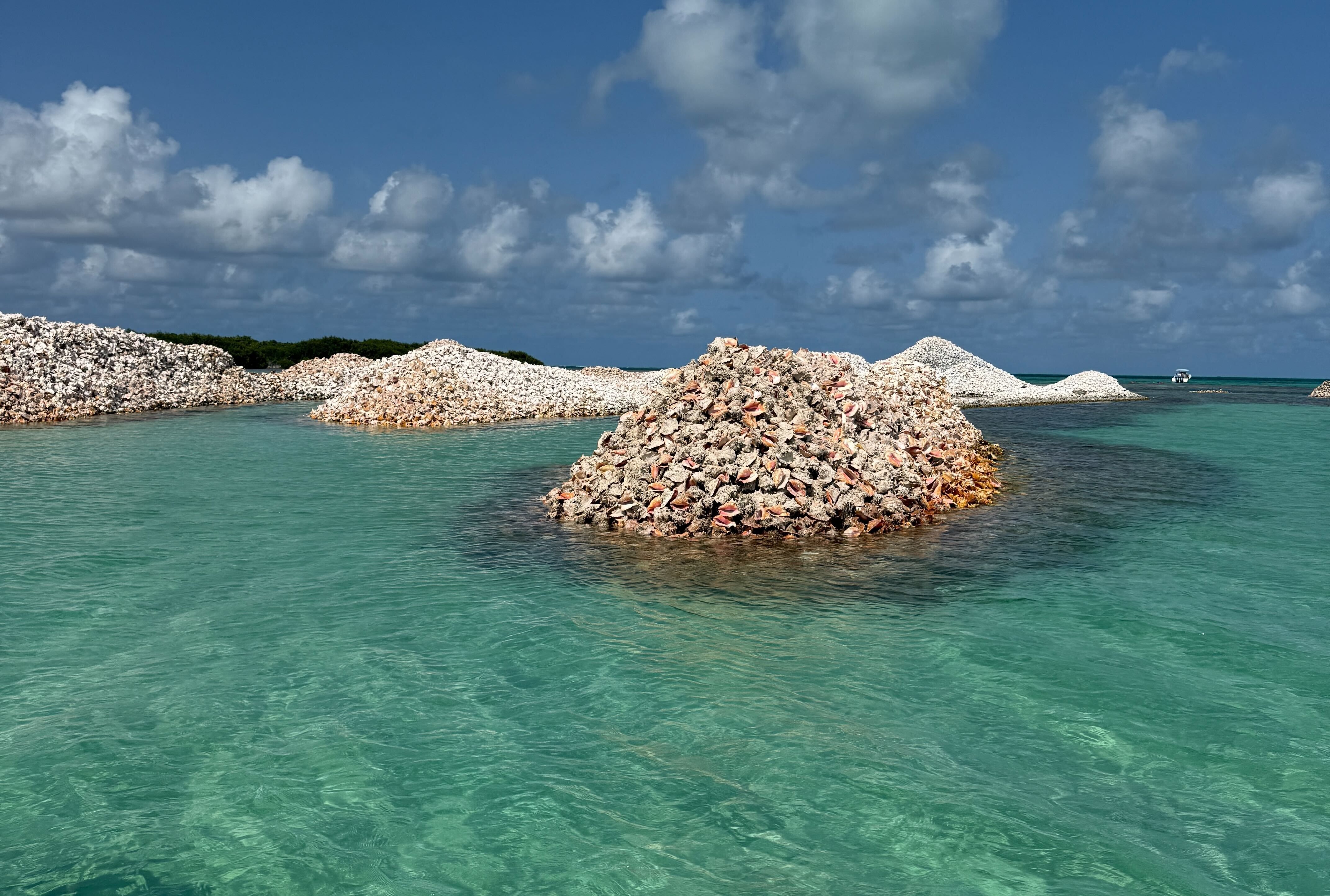 The Caribbean's "Conch Island" Gets Bigger Every Day