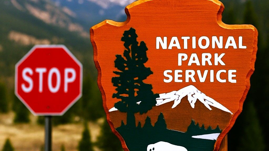 NPS Just Confirmed "Deadly" Disease Discovery In Iconic National Park