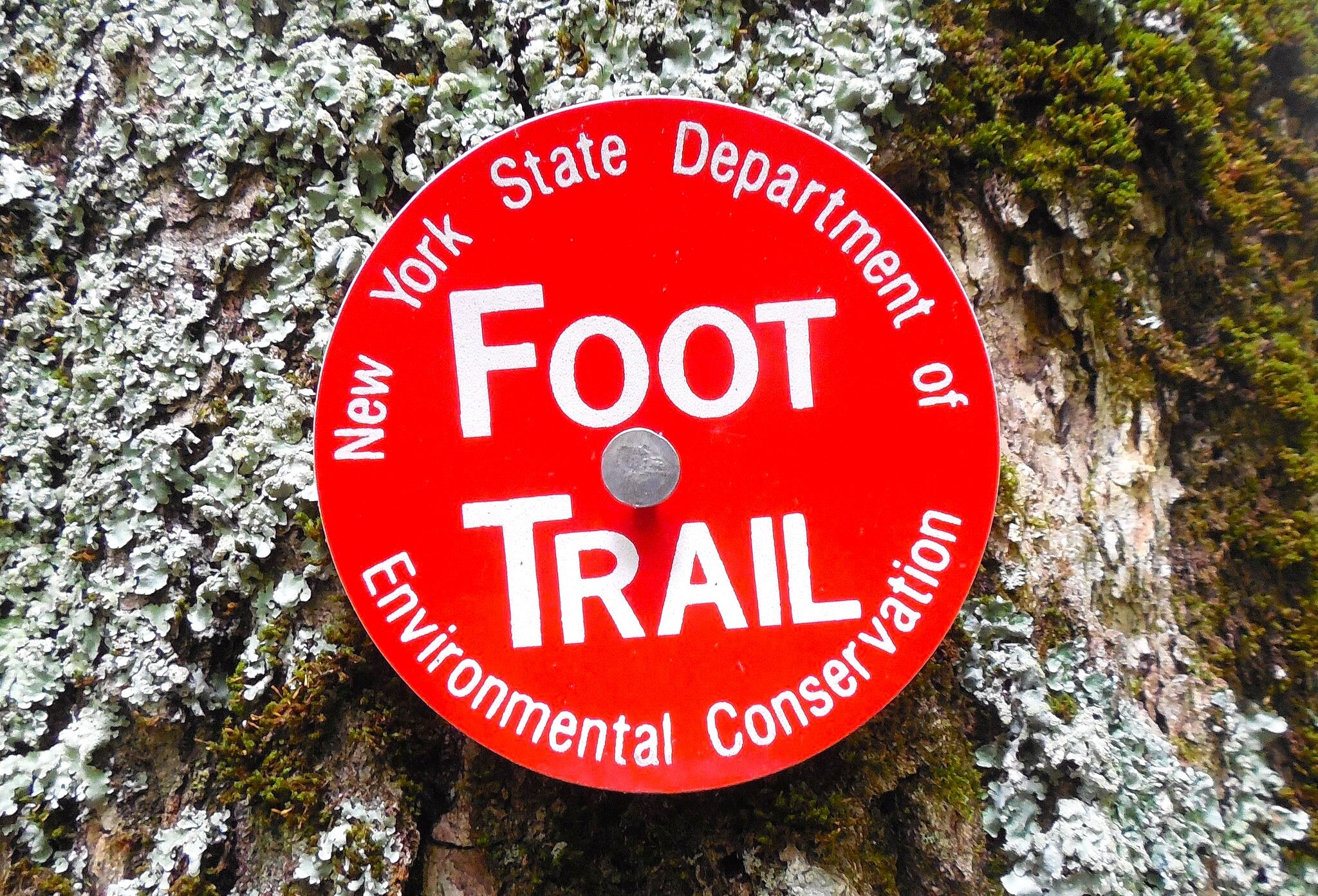 Hikers Caught Off Guard As Mudslides Shut Down Adirondack Trails