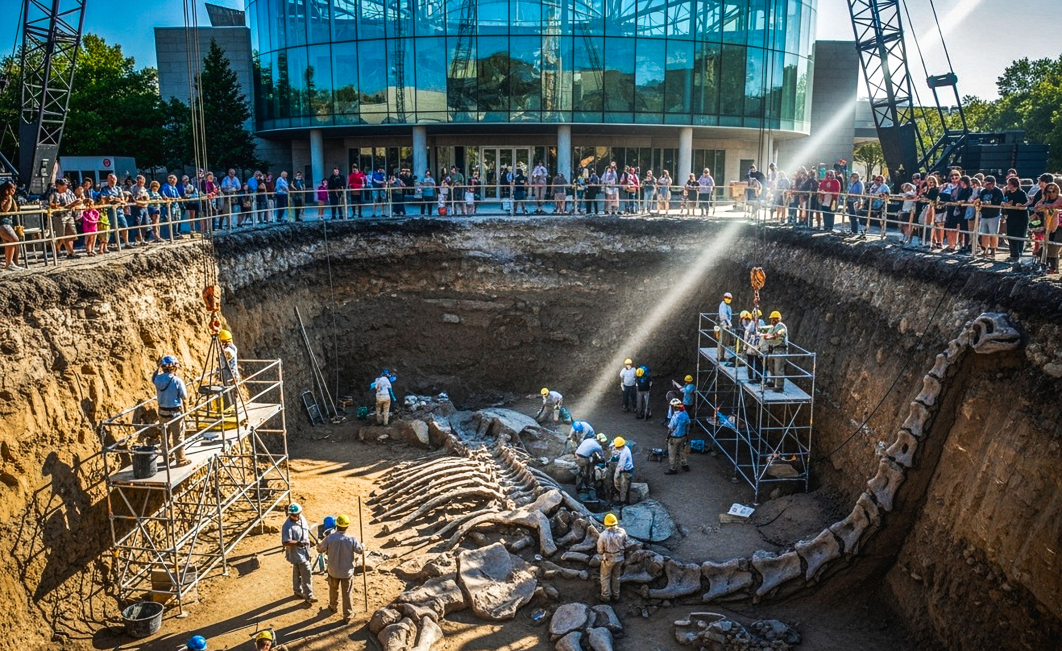 New Dinosaur Found Under U.S. Dinosaur Museum Of All Places