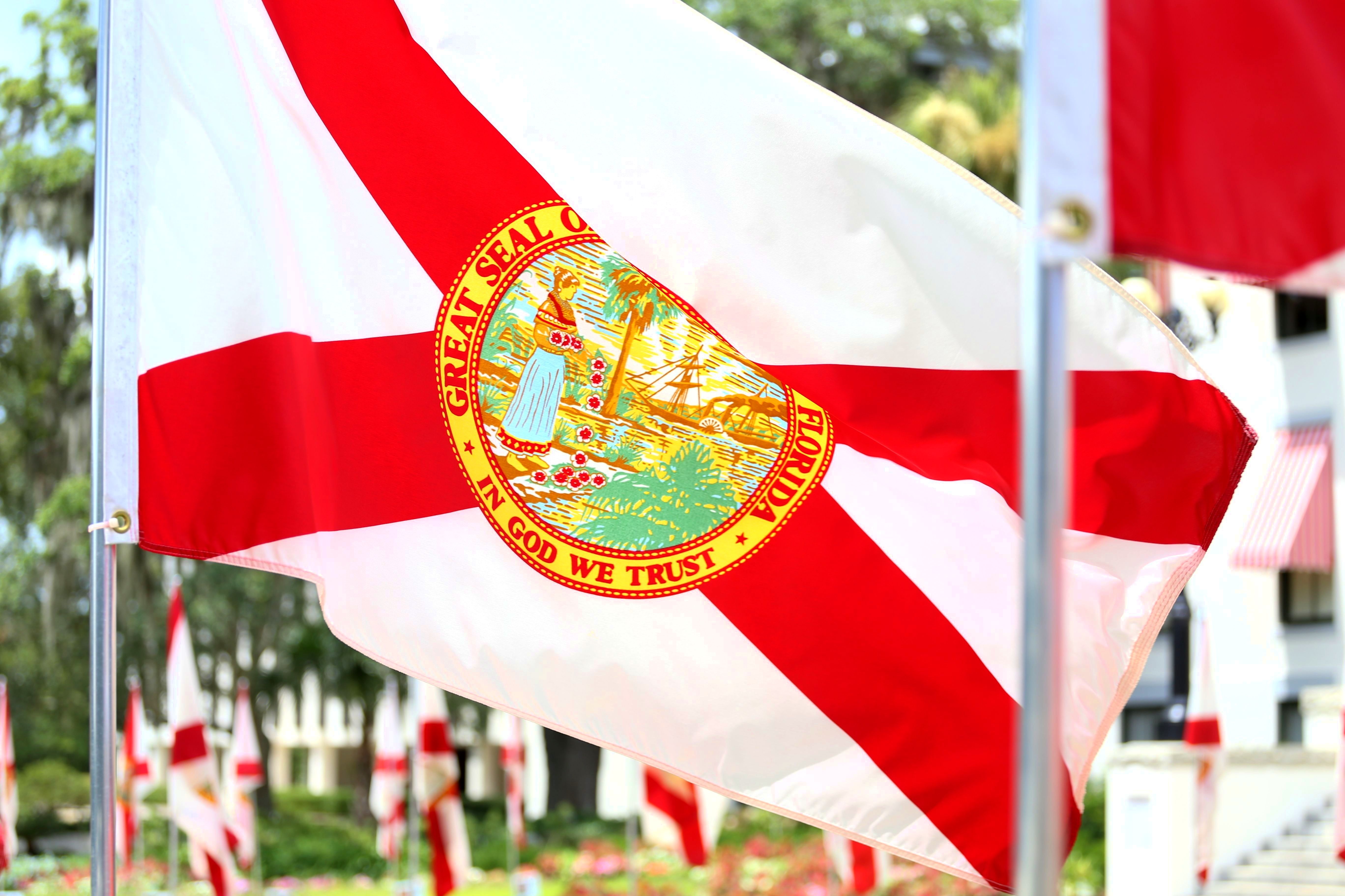 Guide To Seven Mile Bridge (& What You Can See On The Way)