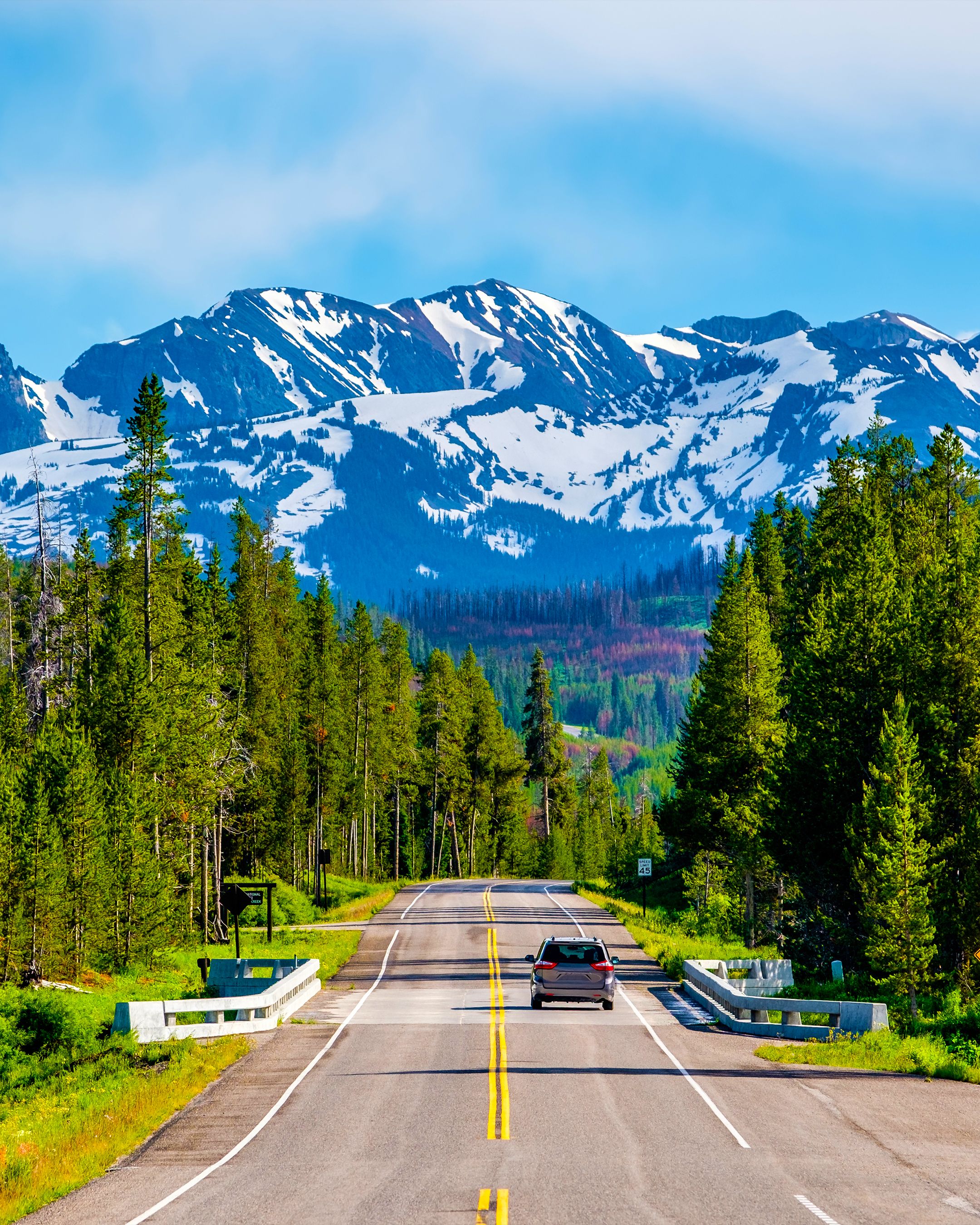 Wyoming - Flags & Symbols | TheTravel